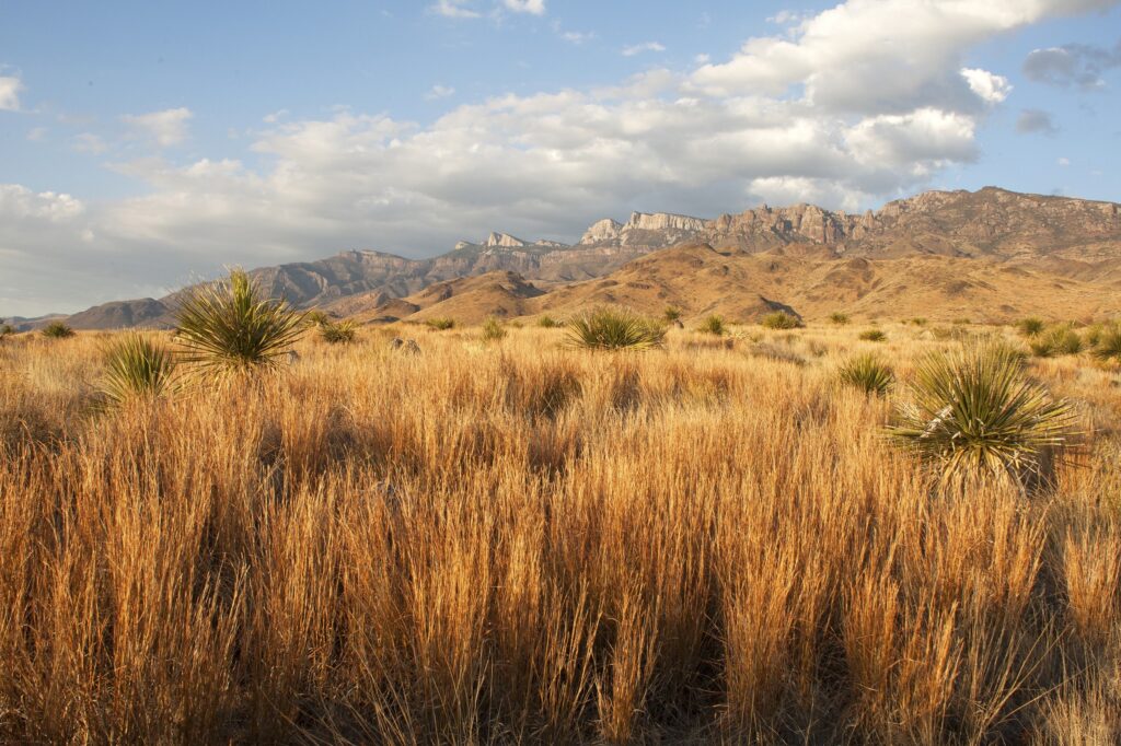 Sustentabilidad - CANACEM