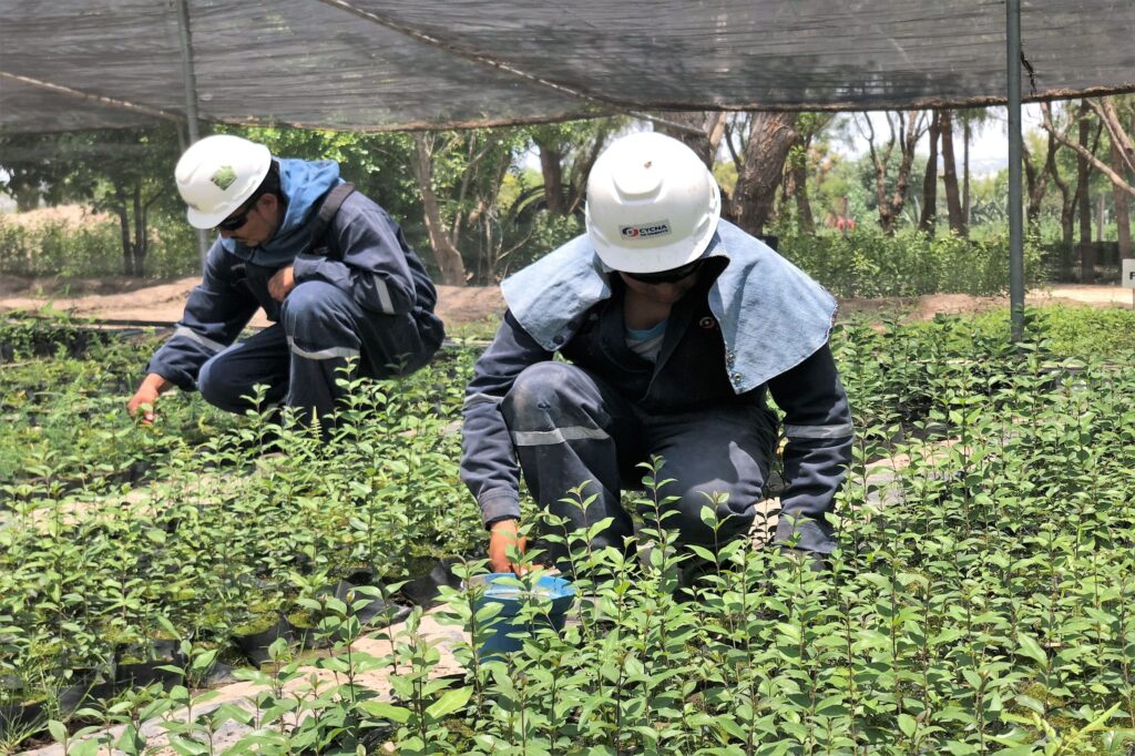 Sustentabilidad - CANACEM